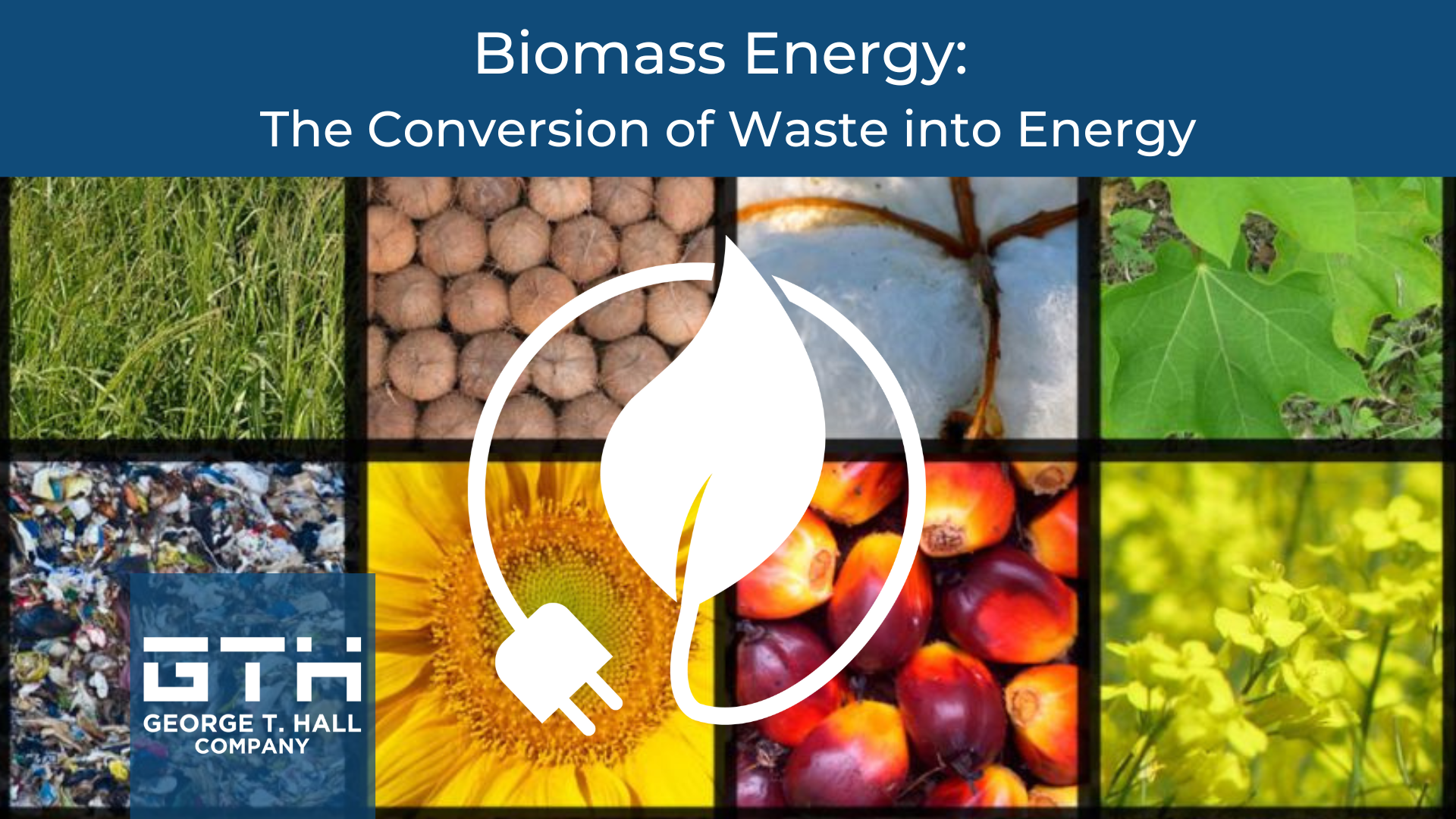 Biomass Energy: the conversion of waste into energy - George T. Hall Company